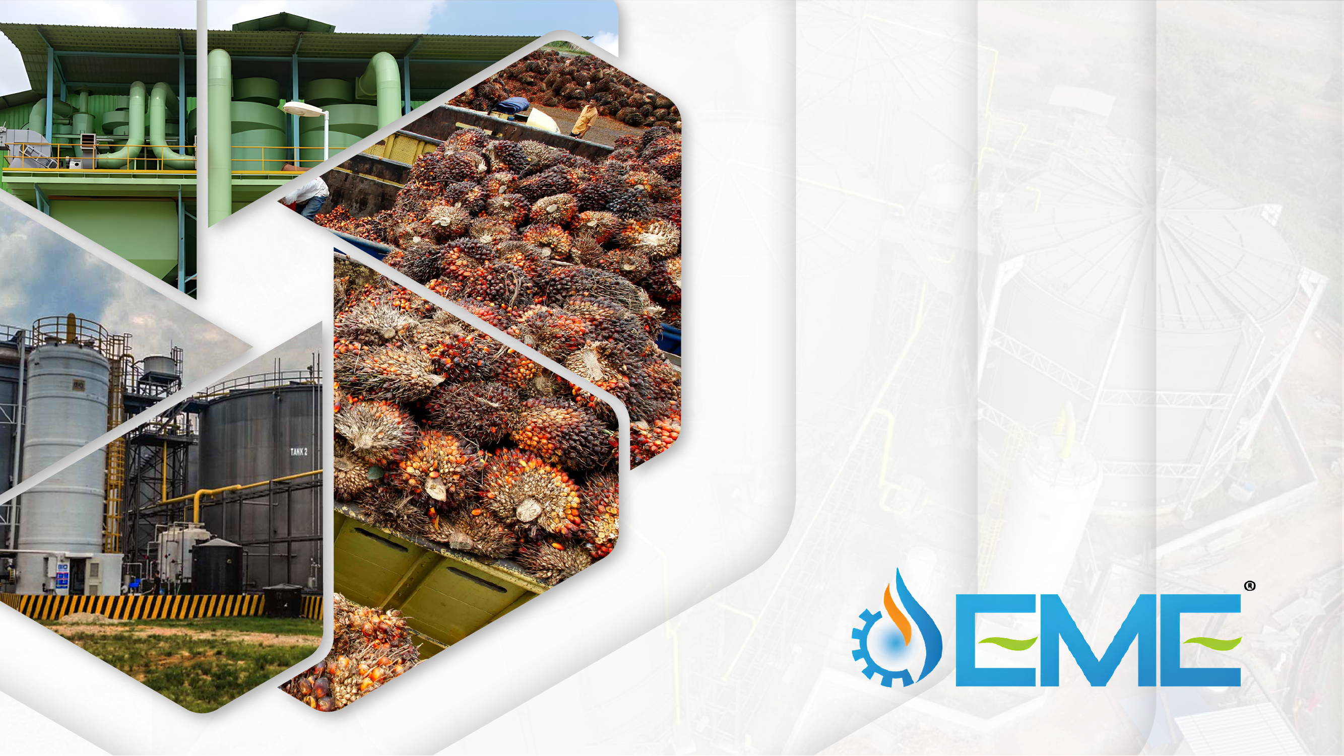 Ecoscience Ingin Mengembangkan Operasi di Indonesia